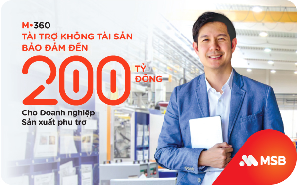 MSB tài trợ không tài sản bảo đảm lên đến 200 tỷ đồng cho Doanh nghiệp ...